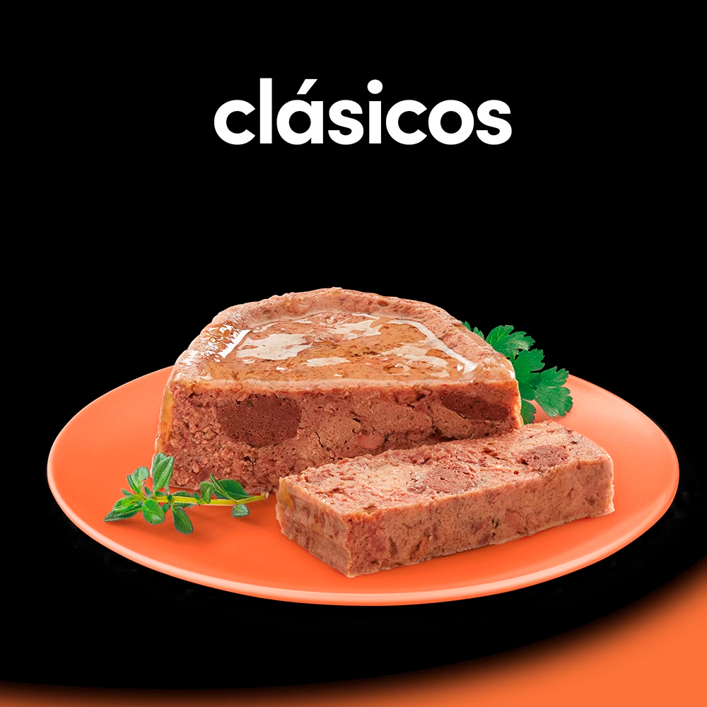 Cesar Multipack Clásicos – Akira Pet